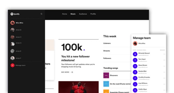 Spotify Promotion Flowsty